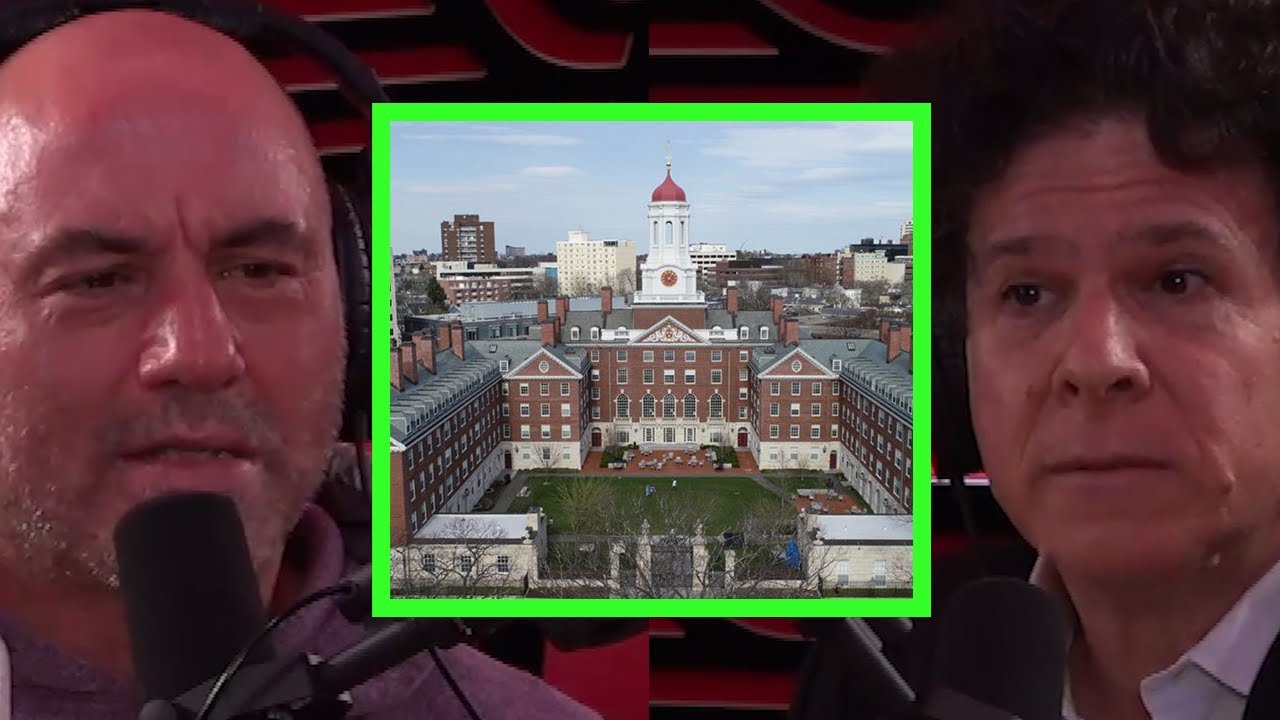 Eric Weinstein on The Power Structure of Harvard Burying His Work – The ...